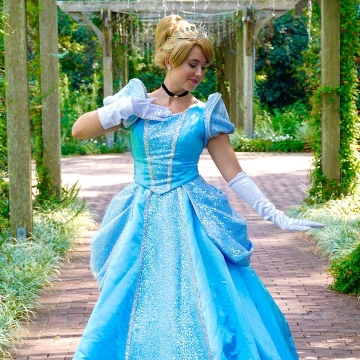 Cinderella Character • Ferngully Party Characters